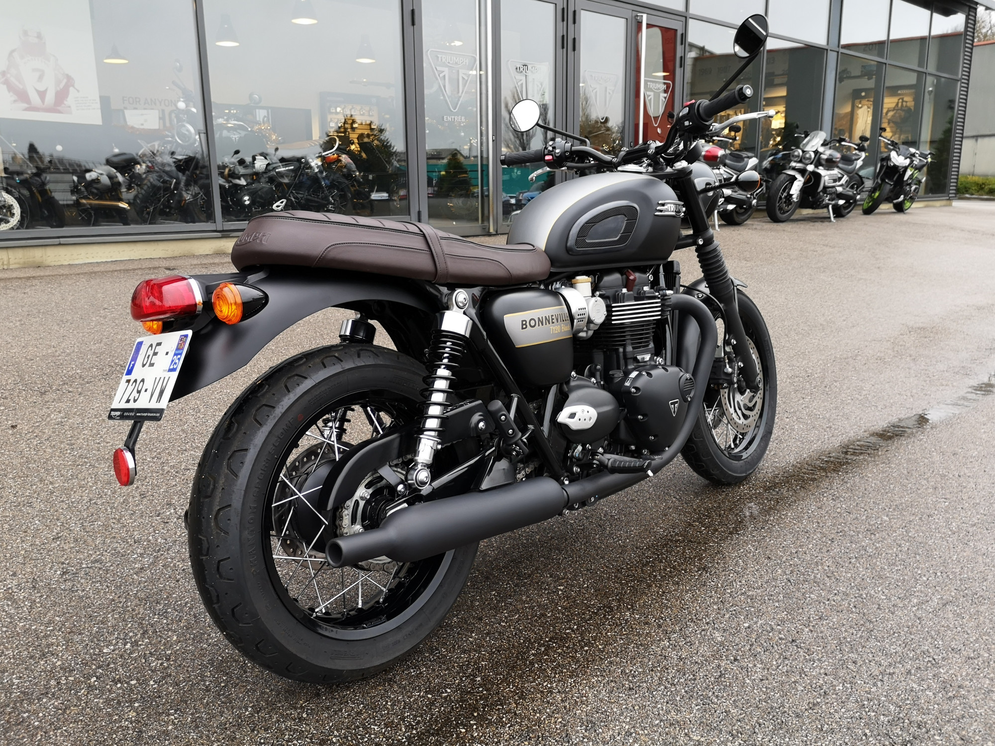 Moto TRIUMPH BONNEVILLE T120 Black GOLD LINE Edition occasion